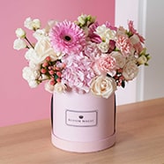 Bloom Magic Flowers UAE